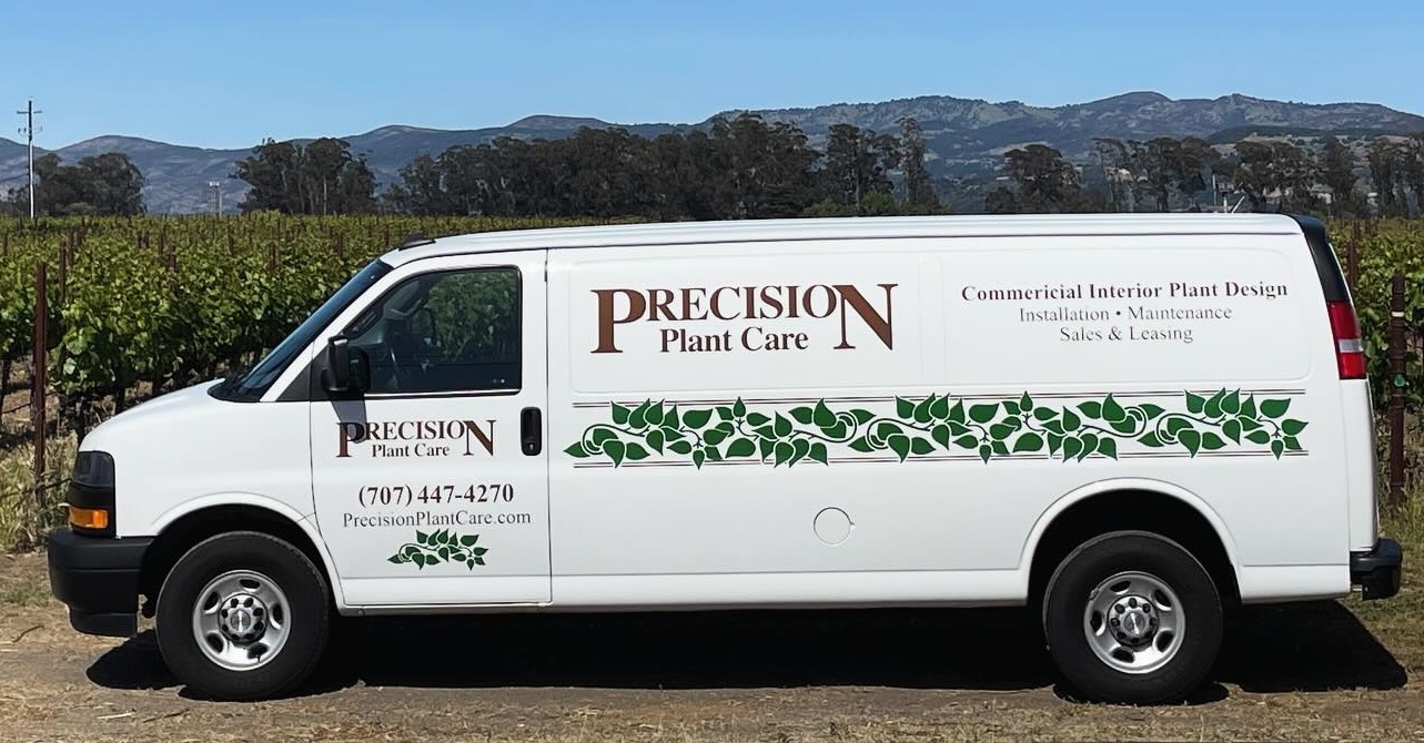 About Precision Plant Care | Trusted Local Plant Experts